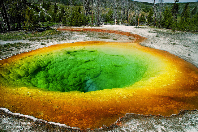 10 Things You Didn't Know About Yellowstone