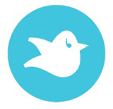 Storybird Launches Longform Format