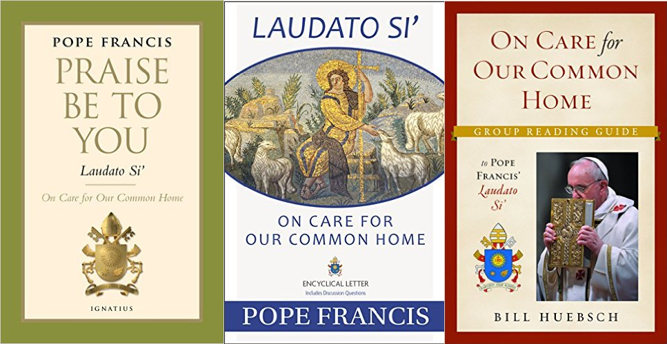 A Reader’s Guide to Pope Francis’s Second Encyclical ‘Laudato Si’