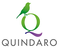 Quindaro Press Celebrates a Decade by Switching to YA