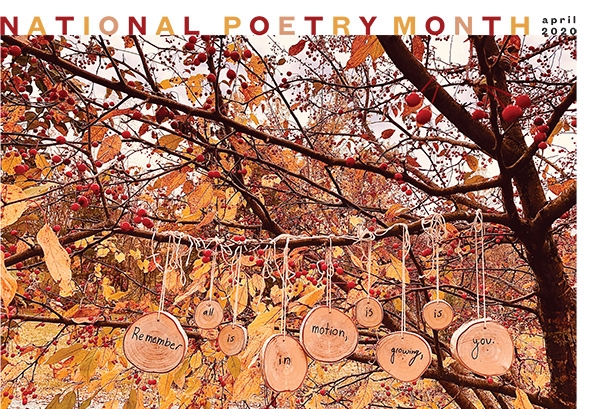 National Poetry Month and the Coronavirus: Poetry 2020