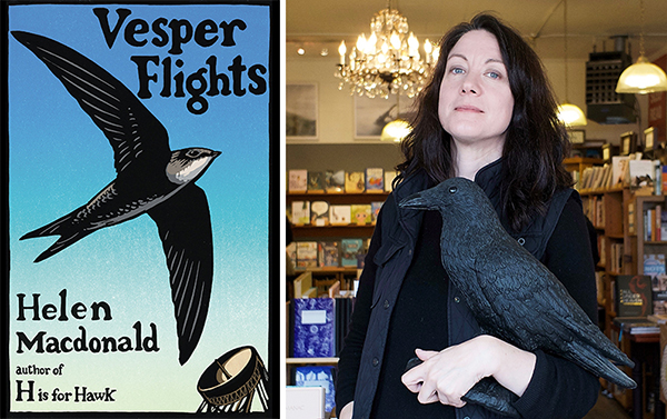 In 'Vesper Flights,' Helen Macdonald Gets Topical