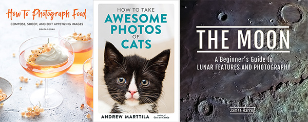 Near and Far: Hobby & Craft Books 2020