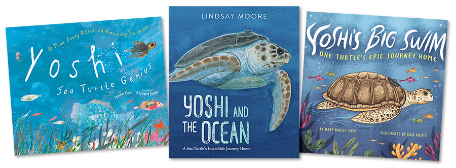 Loggerhead Turtle Yoshi's Odyssey Inspires a Trio of Picture Books