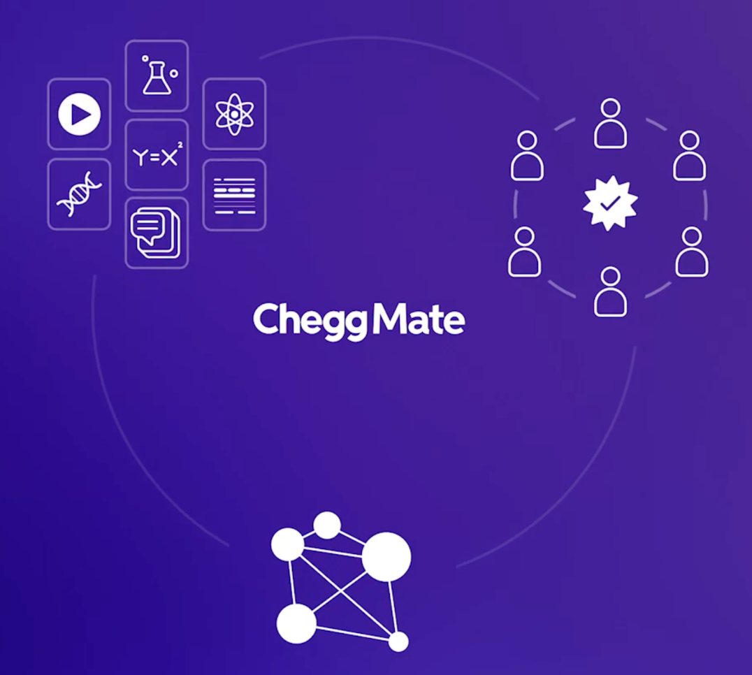 AI Concerns Drop Chegg Stock by 48%