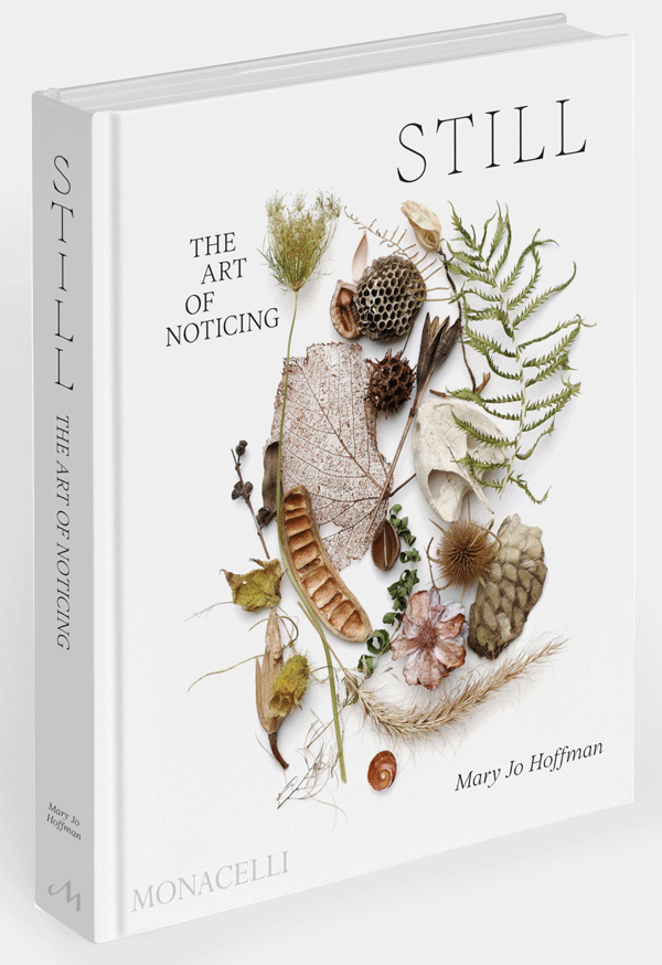 Endnotes: 'Still: The Art of Noticing' by Mary Jo Hoffman